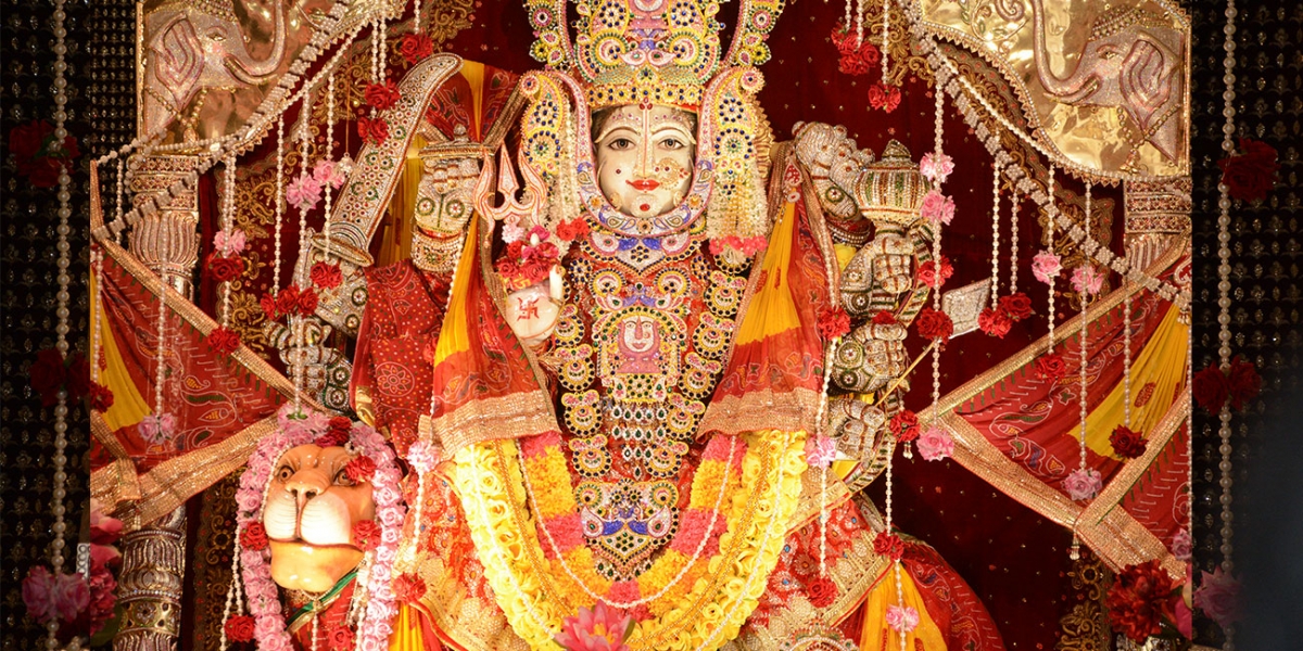 Who We Are – Shree Narayani Dham